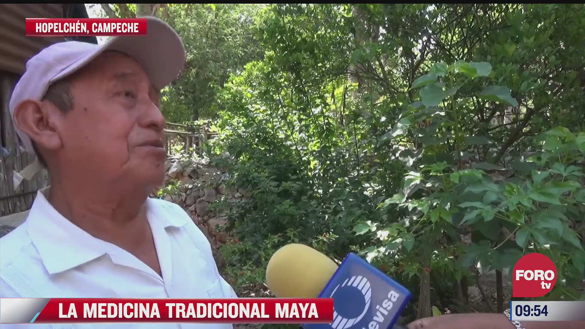La medicina tradicional maya | N+