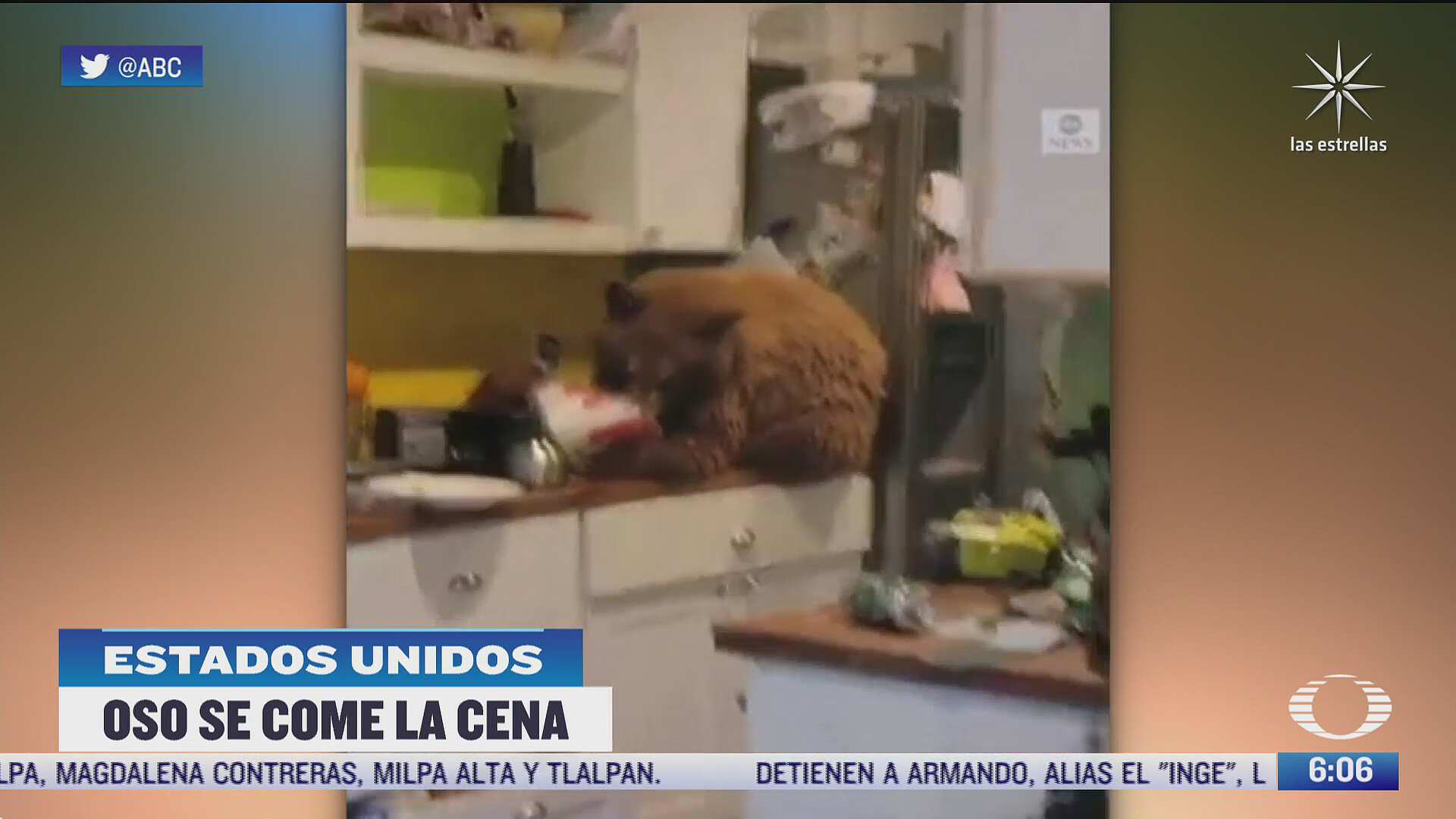 Video: Oso invade cocina y se come un pollo frito | N+