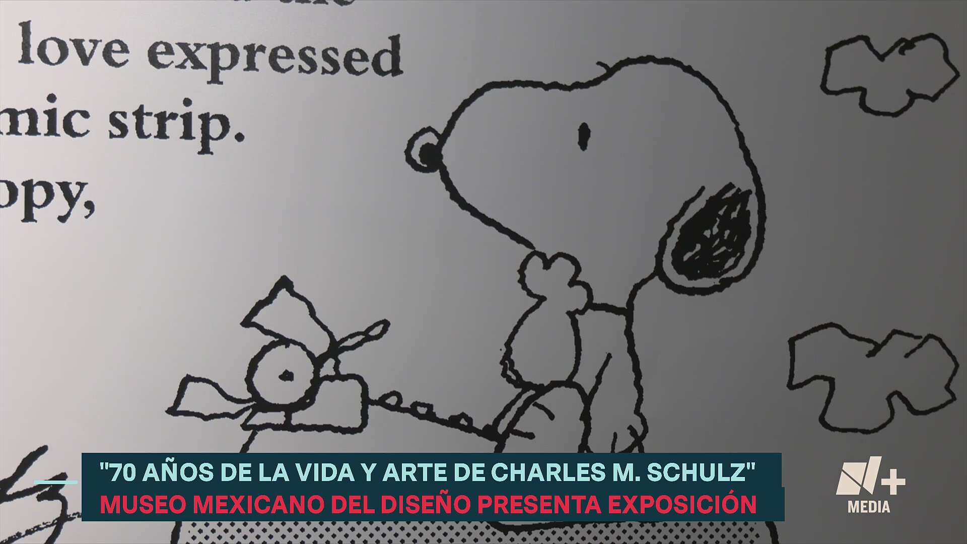 Museo Mexicano del Diseño presenta exposición del creador de Peanuts y ...