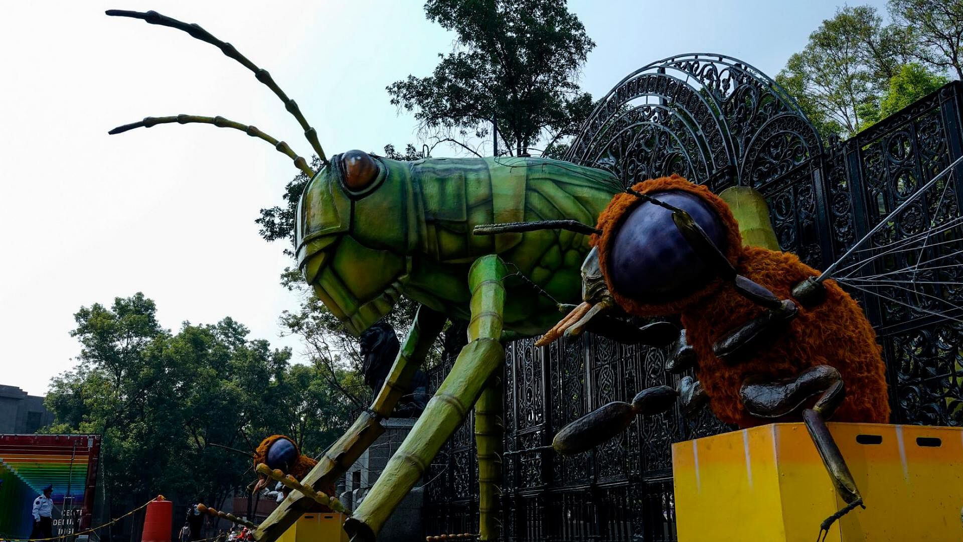 “Insecta, festival del bosque” y la importancia de los insectos | N+