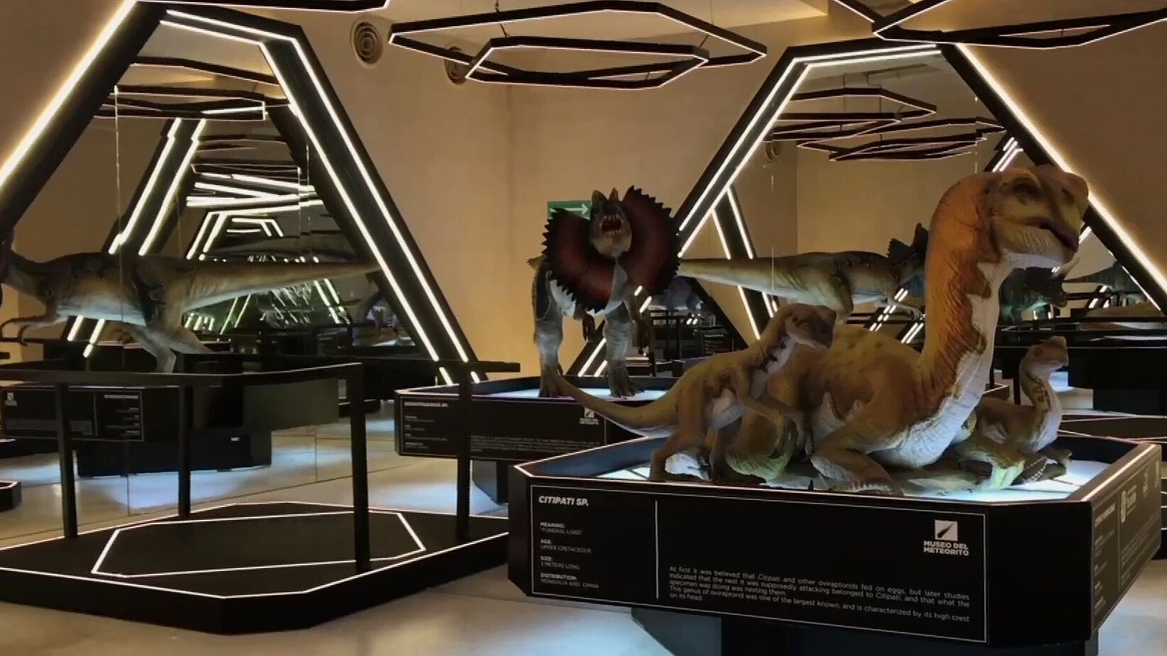 MilAventuras: Conoce Museo del Meteorito de Progreso, Yucatán | N+