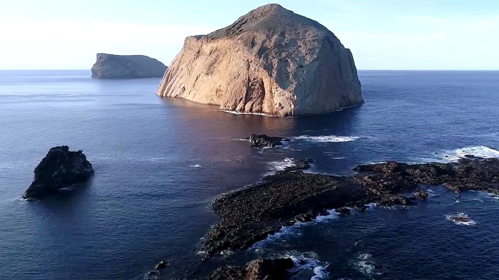 Guadalupe, la isla mexicana que ayuda a la conservación de lobo fino | N+