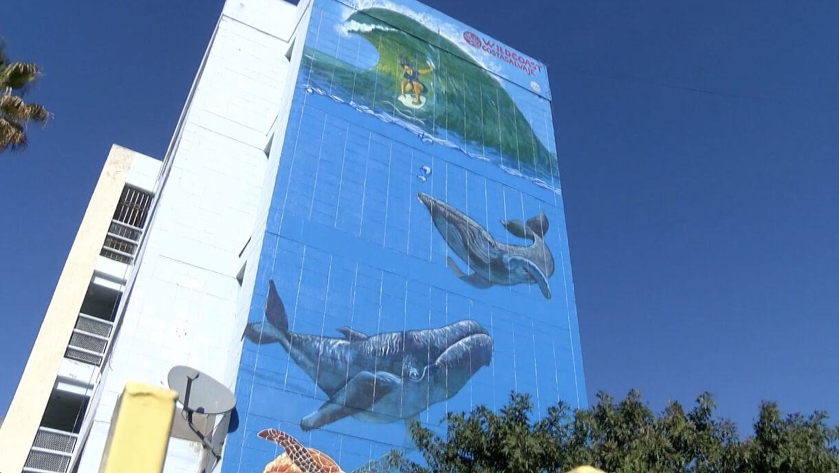 Rocio Hoffman Realiza Enorme Mural Ecológico en Tijuana | N+