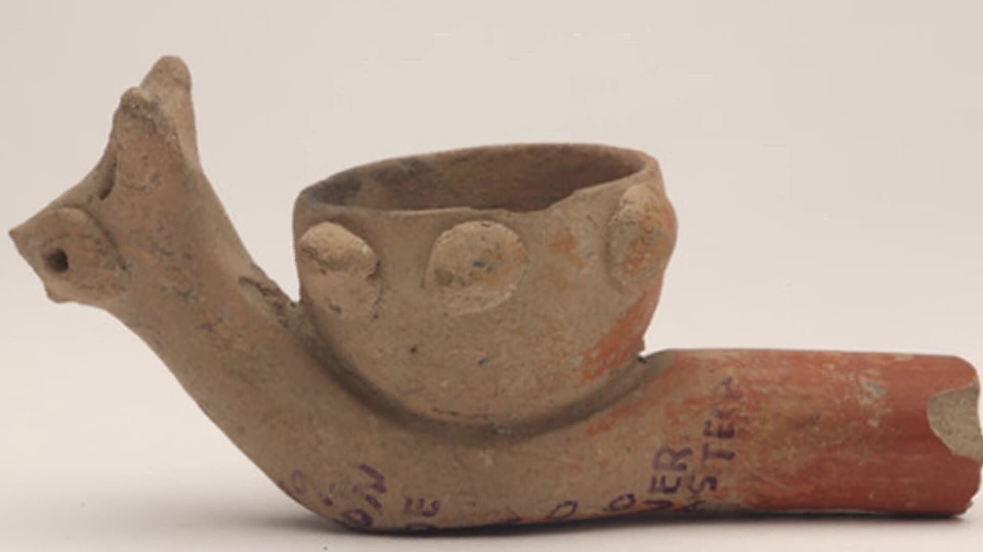 20 de Febrero: Día Internacional de la Pipa ¿Para Qué Sirve? | N+