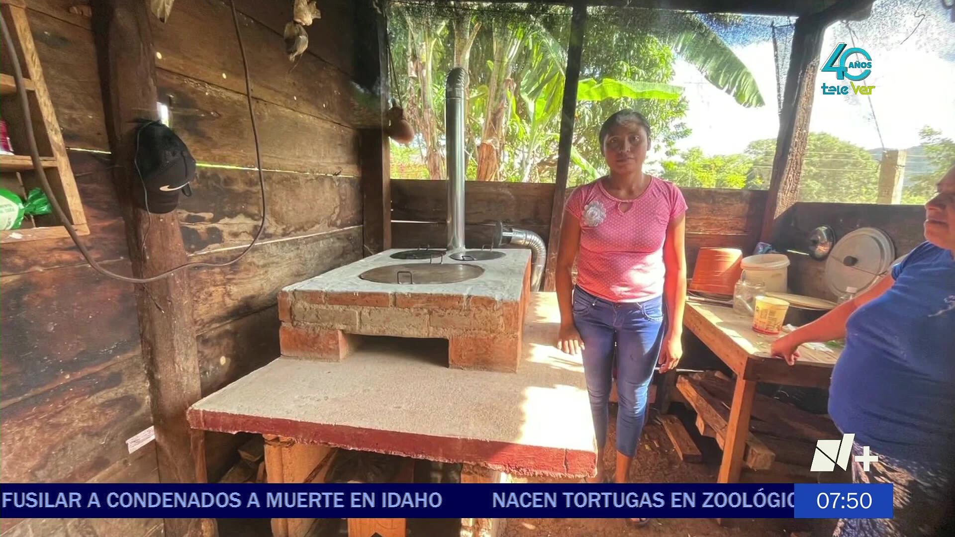 ¿Qué es Una Estufa Ecológica y Cuáles Son Sus Ventajas? | N+