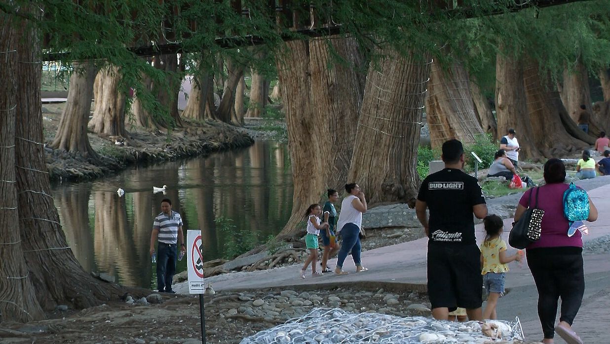 Niños y Adultos Disfrutan de Naturaleza en Parque Tolteca | N+