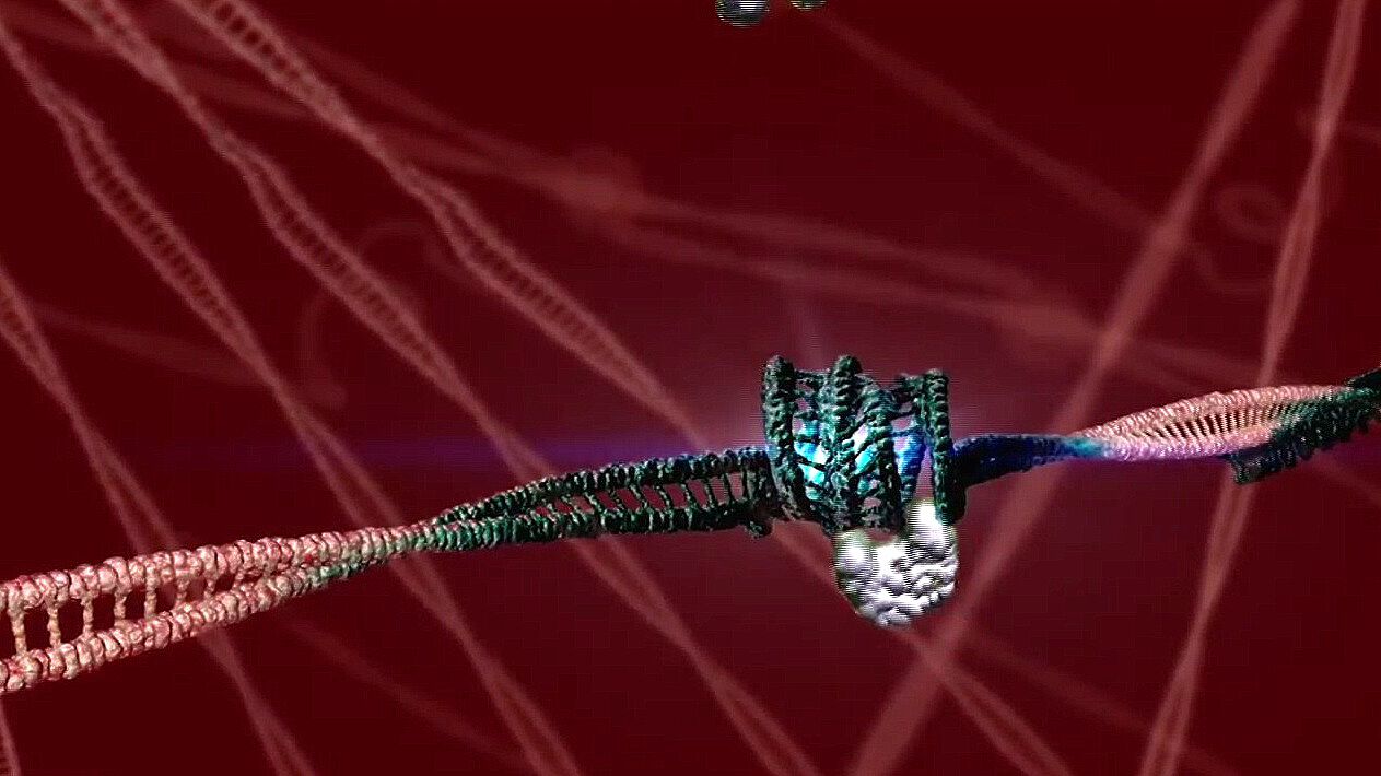 Ciencia: Mapa del Epigenoma Humano | N+