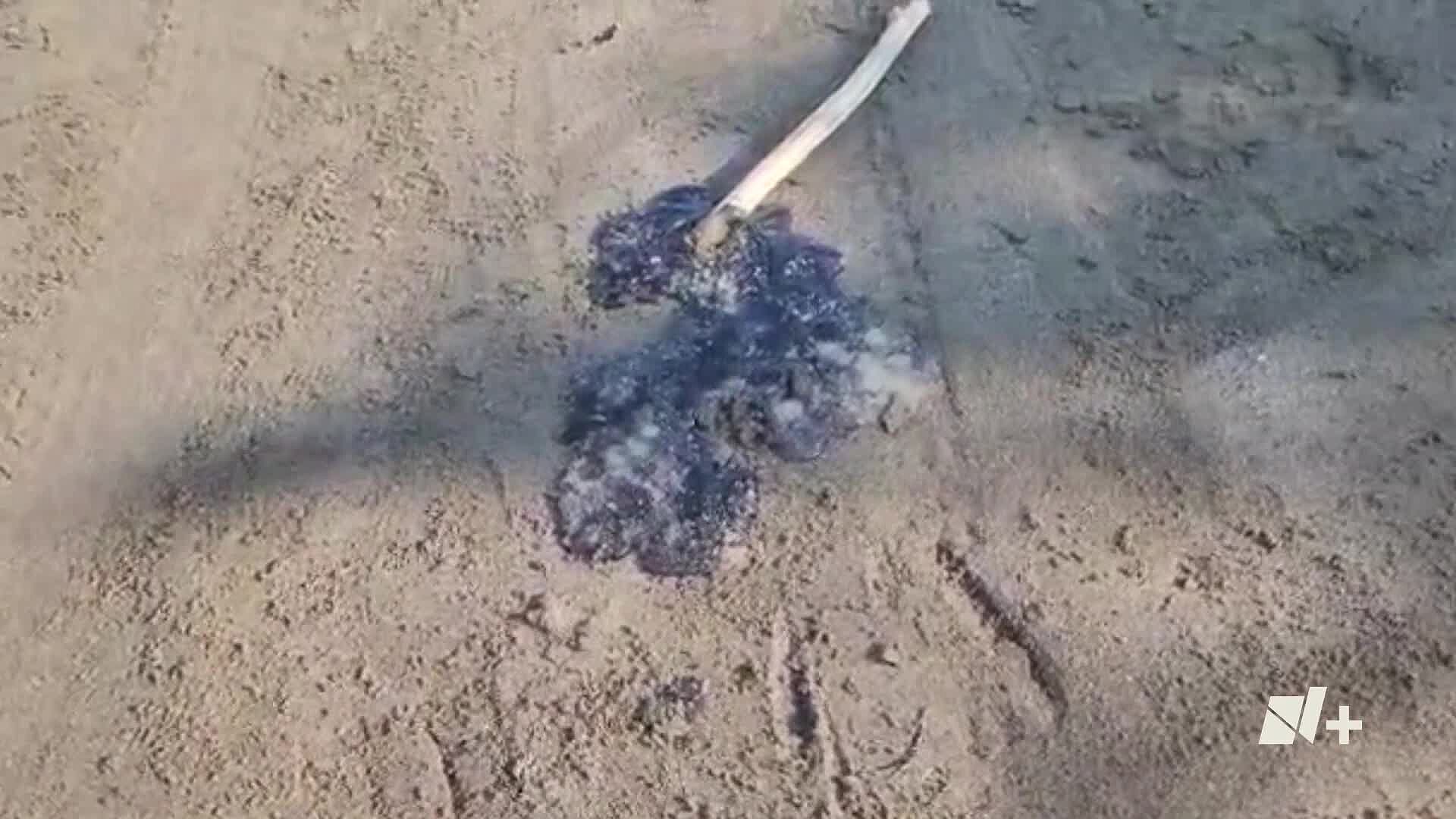 Manchas de Chapopote Alertan a Turistas y Restauranteros | N+