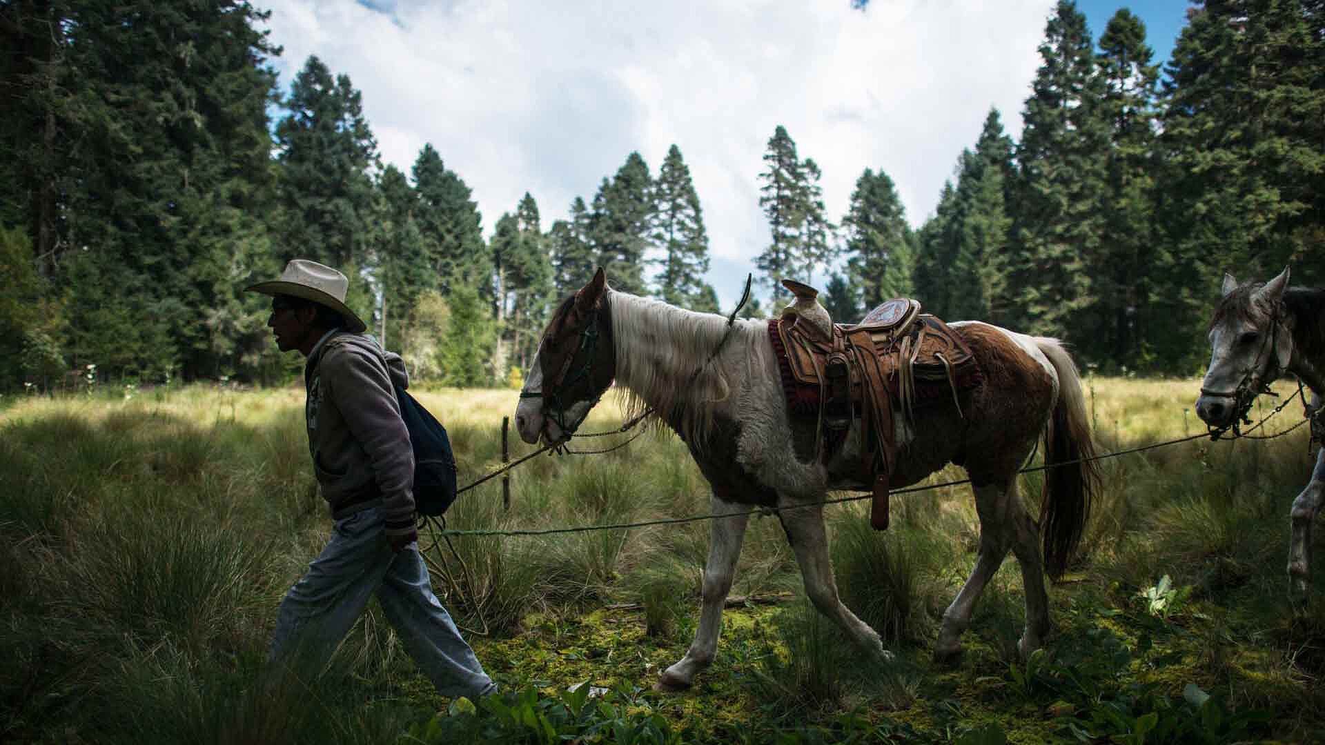 ¿Qué es la Ecosofía? | N+