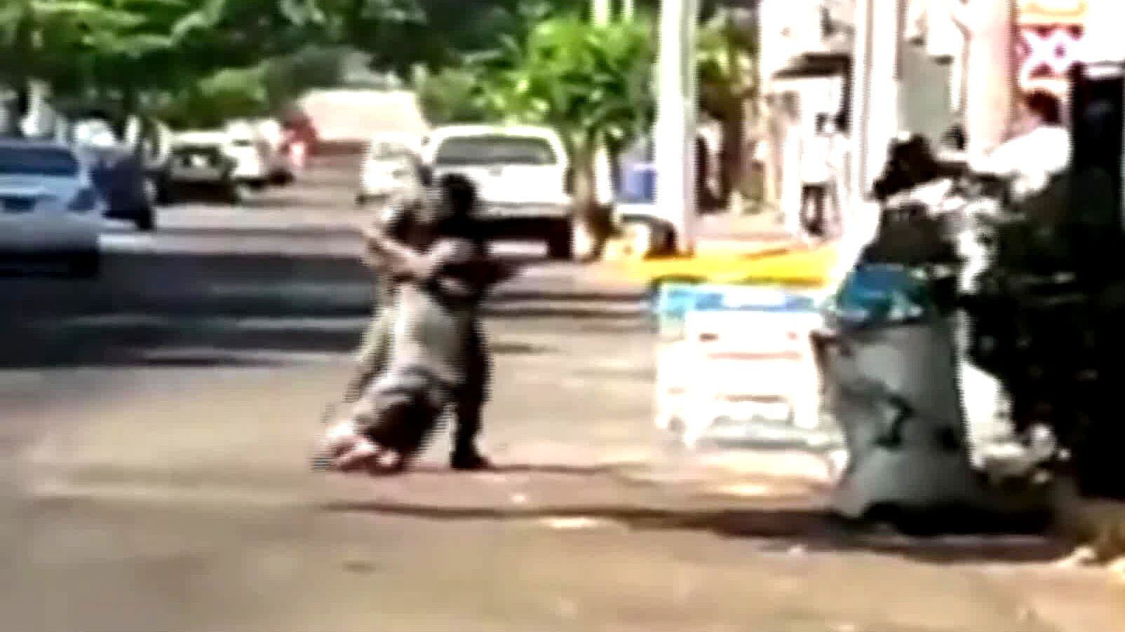 Así Salvó un Militar a Persona Atacada por Enjambre de Abejas | N+