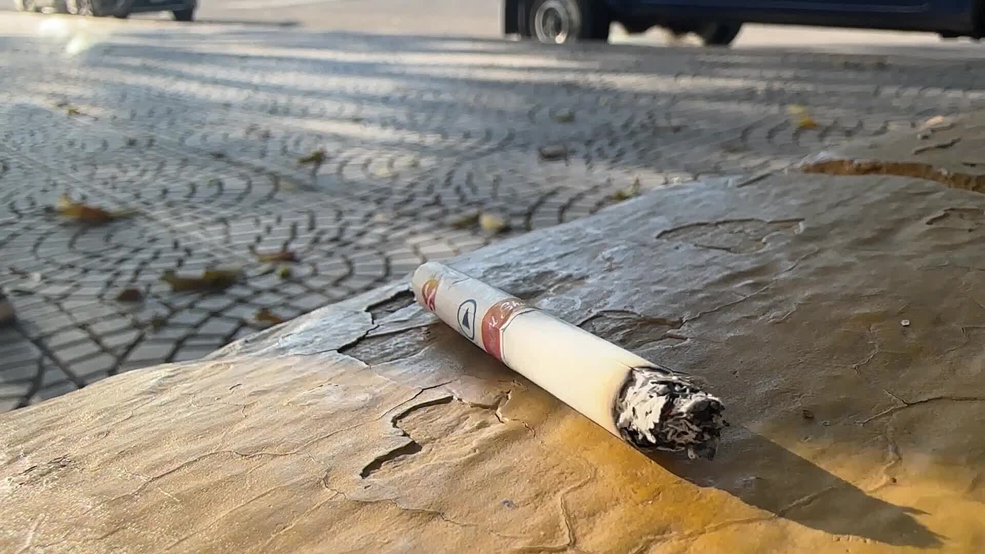 El Consumo de Tabaco Mata Cada Año a Casi 6 Millones de Personas | N+