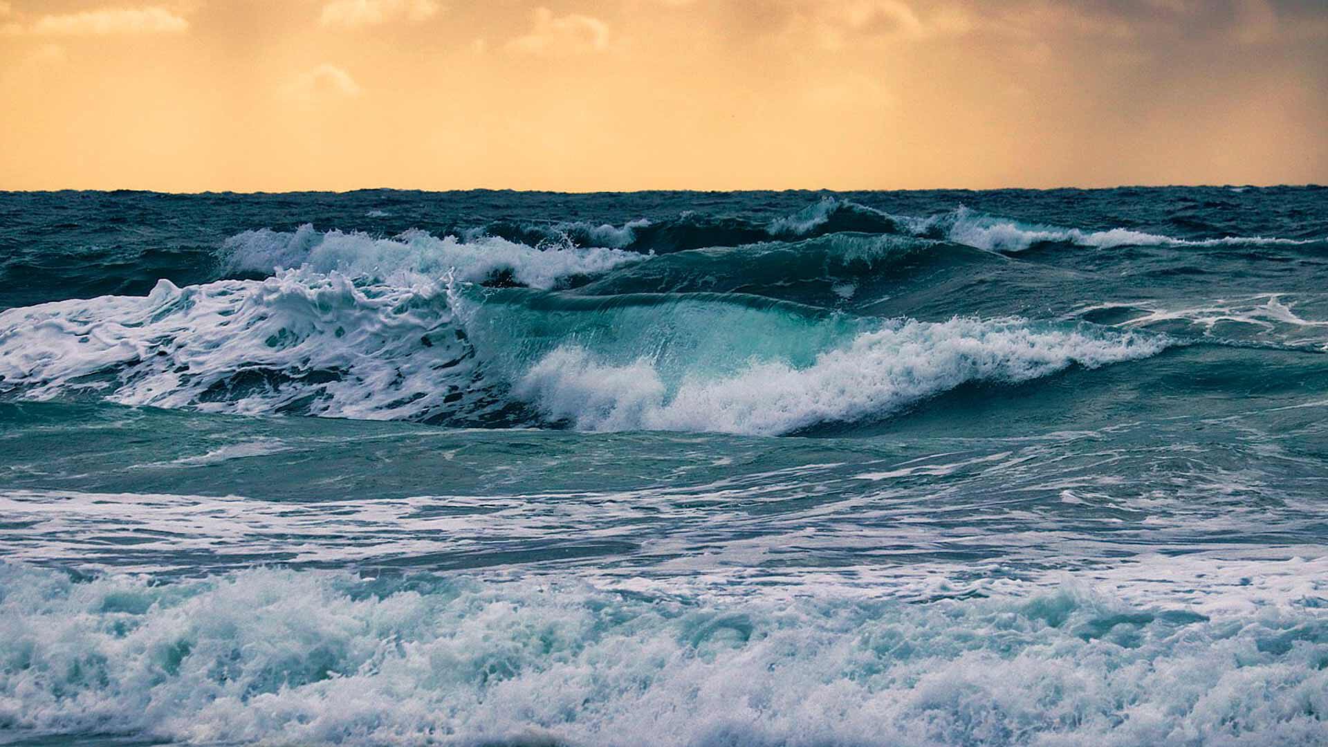 Hoy es el Día Mundial de los Océanos ¿Qué Hacemos por Ellos? | N+