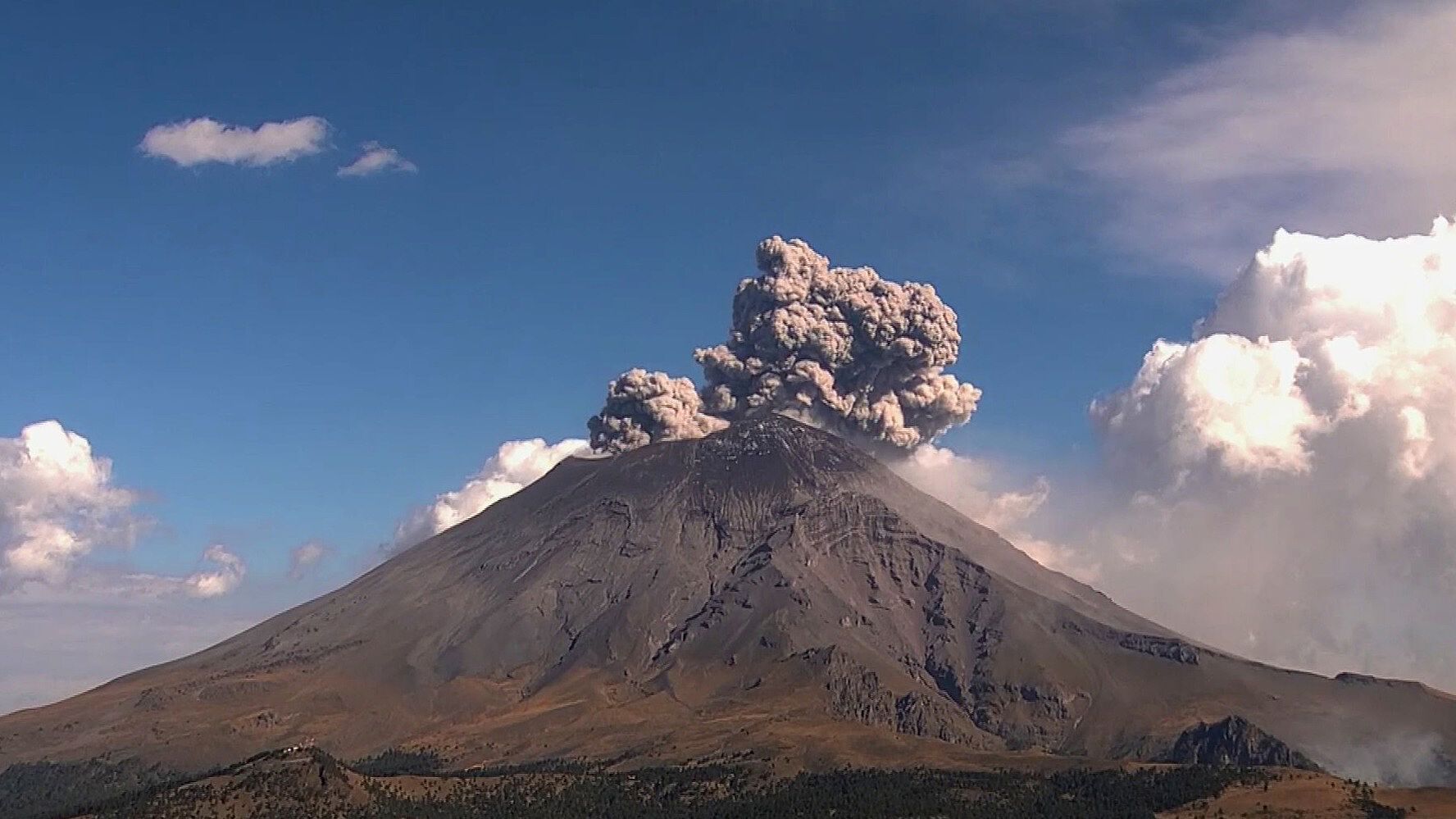 En Vivo: Así se Encuentra el Volcán Popocatépetl | N+